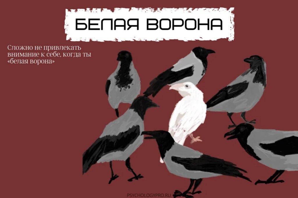 Белая ворона – равно нонконформист. Это про вас?